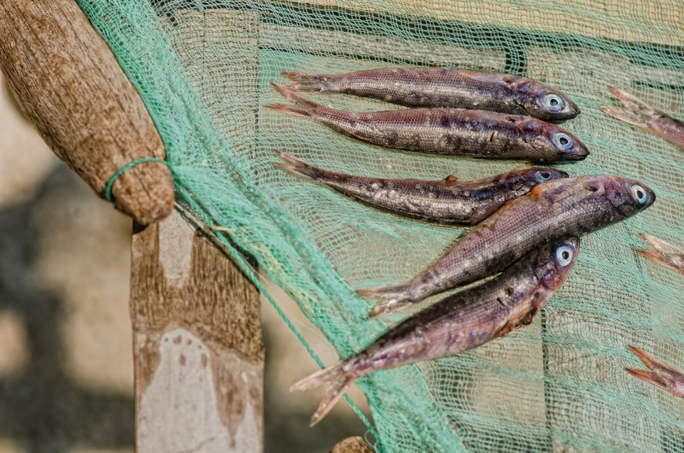 The Unconventional Guide to Badoc White Sands Island | AvianQuests