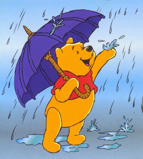 OMG - det regnar! | Att bo i USA