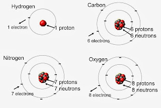 Science, Reason and Logic Rule: CHON