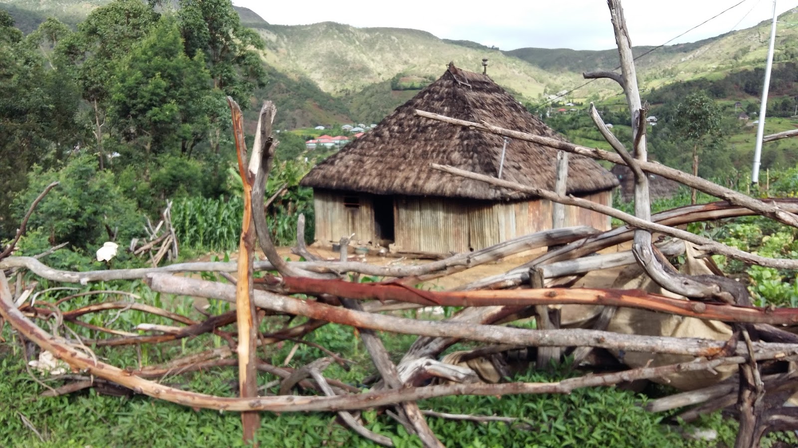 Laura in Dili: Eh, Foho Ramelau...