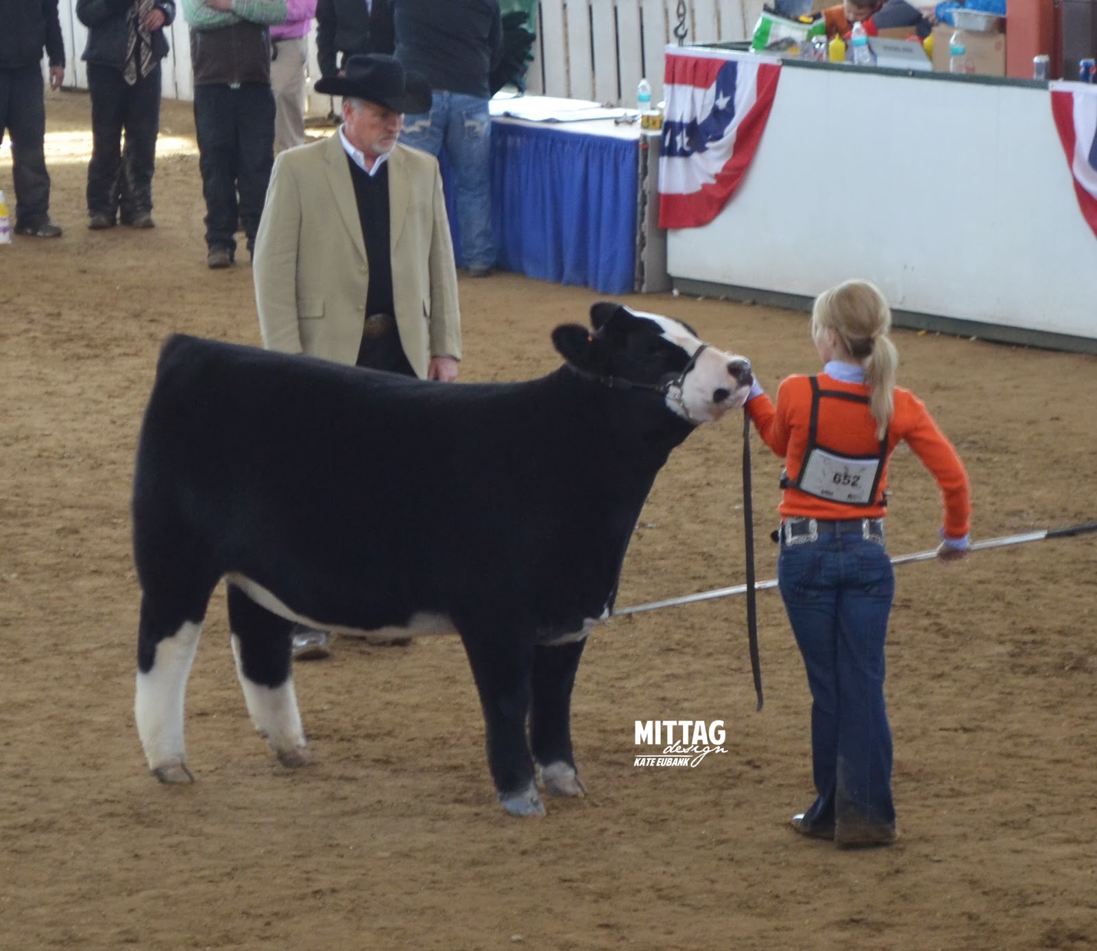 MITTAG Blog: IOWA BEEF EXPO | FEW BREED CHAMPIONS CAPTURED BY MITTAG DESIGN