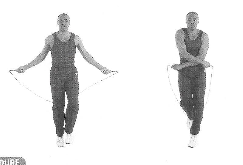 LOS 15 PASOS DE COMBA