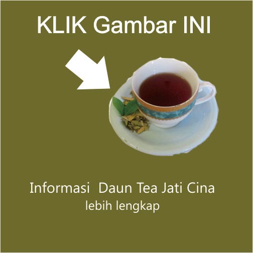 Fan Xie Ye (Senna Leaf): Cassia angustifolia - Swarna patri