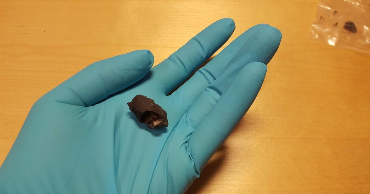 Prehistoric Archaeology Blog: Chewing gums reveal the oldest ...