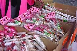 San Shines In Japan: Penis festival in japan!~you're not gonna to miss ...