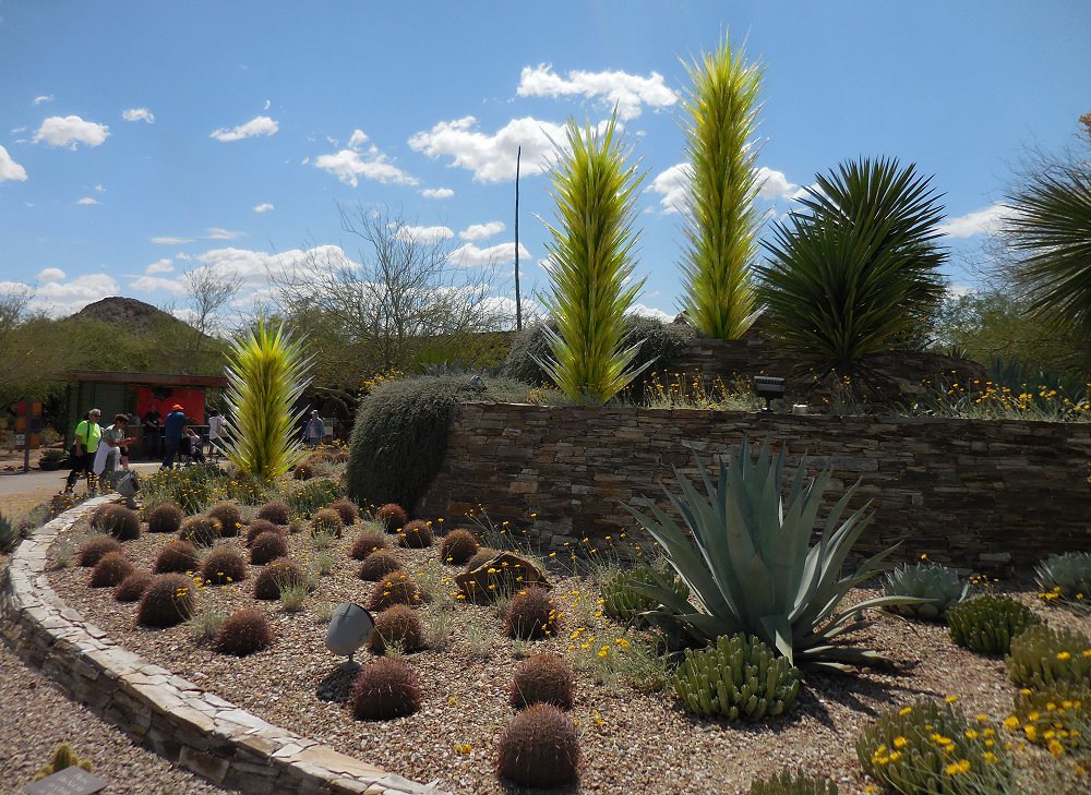 Kittling: Books: Spring at the Desert Botanical Garden