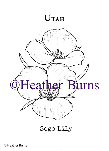 State Flower Coloring Book: Utah State Flower: Sego Lily
