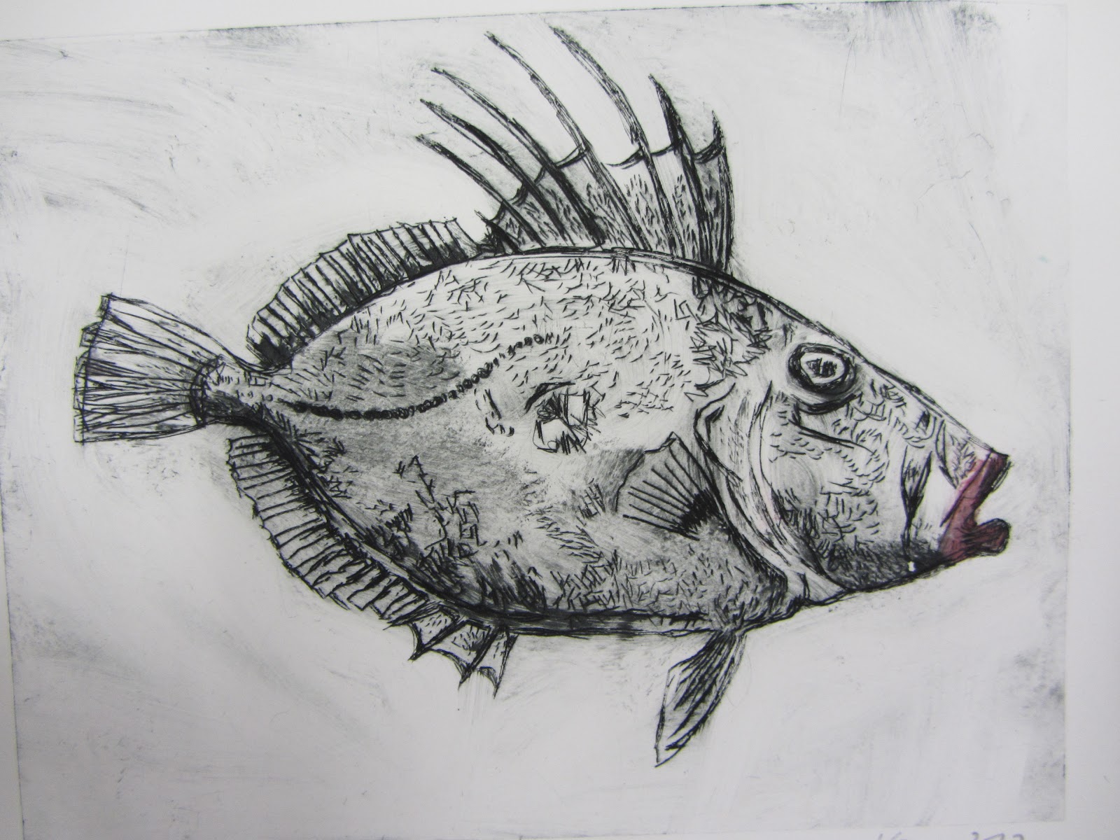 Deborah French Artist: Fish drypoint