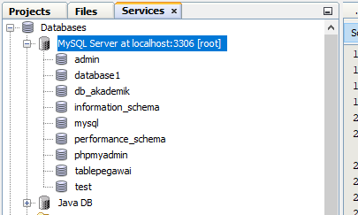 Cara Membuat Aplikasi Parkir Java netbeans: Membuat program database di Netbeans menggunakan XAMPP