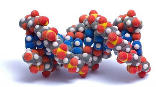 JA SAM TVORAС SVOG ŽIVOTA: VISE SRCE + TACKA SRECE = TIMUS
