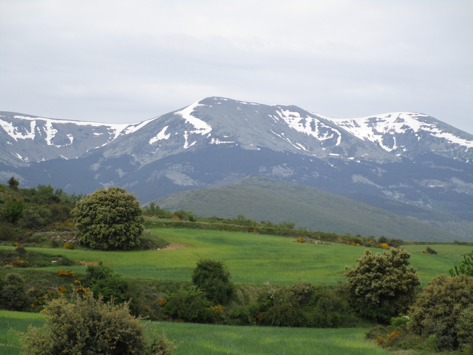 Escuela Municipal de Jardinería "El Pinar": Visita al Parque Natural ...
