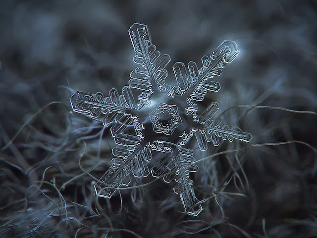 Amazing Macro Photography of Individual Snowflakes [10 pics] - Our ...