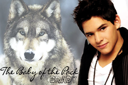 Diarios Twilight Twitter