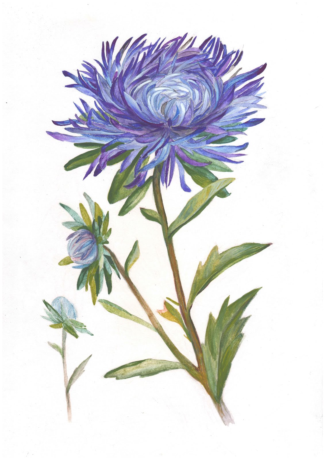 Dolonova Alexandra - Aster Jewel
