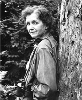 S.T.E.A.M. Empowered: Rachel Carson, Marine Biologist and Ecologist