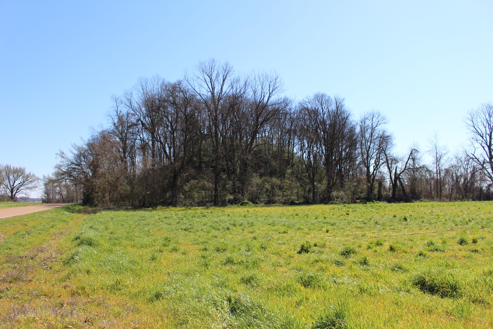 Tony's Mississippi Archaeology Blog