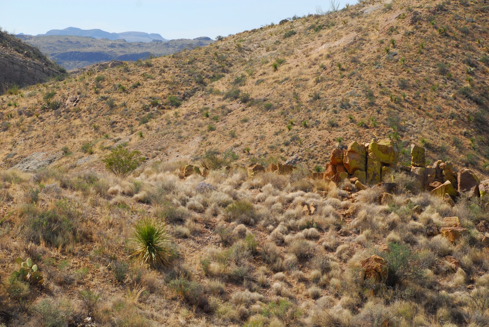 Texas Mountain Trail Daily Photo: Outer Loop Trail in Big Bend Ranch ...