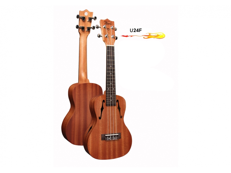 Đàn ukulele – Một số loại đàn phù hợp cho người mới chơi ~ Mua bán các ...