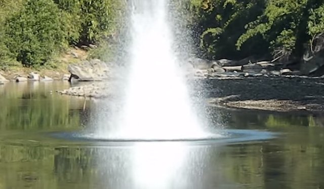 Here is the Dynamite Fishing Explanation ~ How to Style