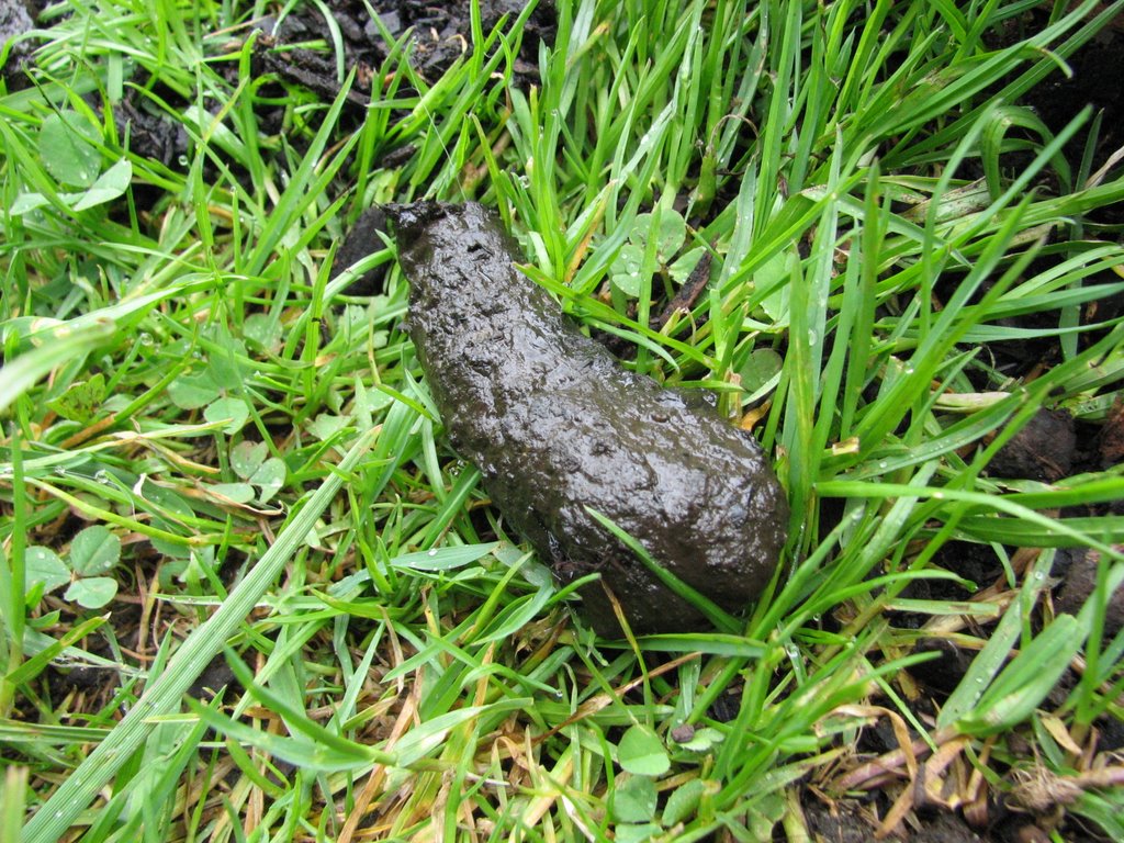 A Day in the (Wild) Life...: April 2017