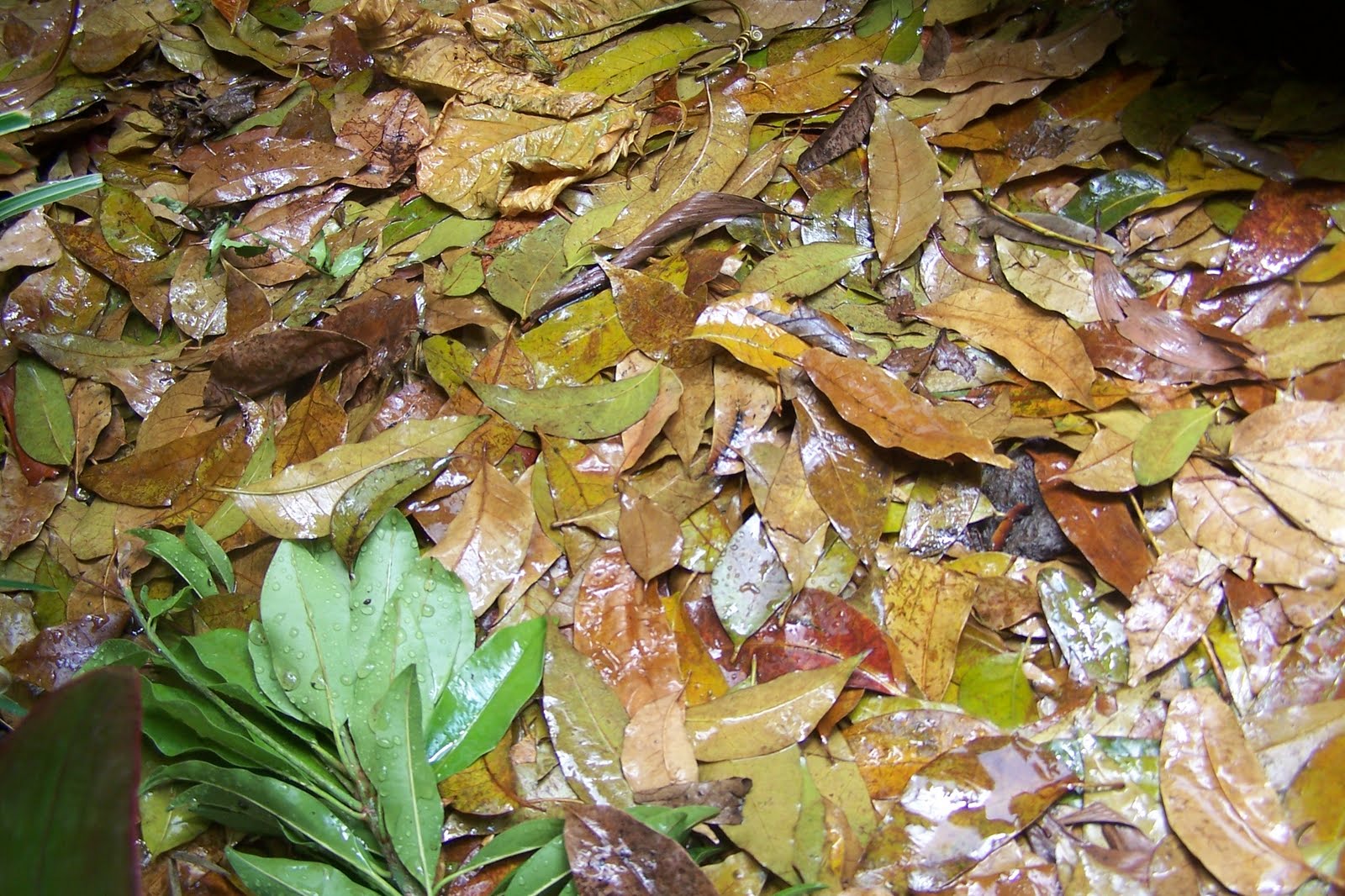 TOUCH of DREAM: Produksi Sampah