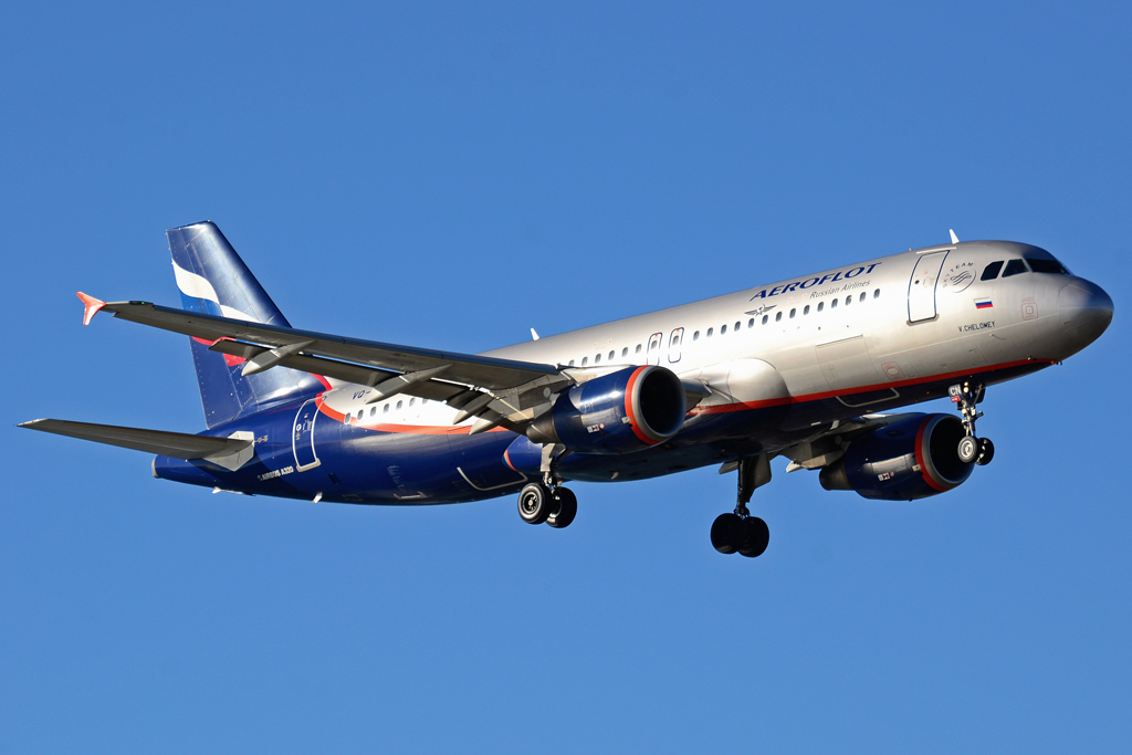 Ricardo Gomes - The True Life of a True Spotter: fevereiro 2015