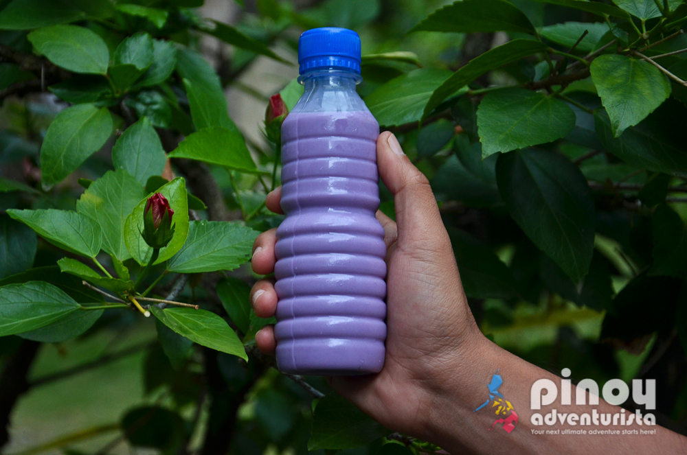 THINGS TO DO IN MASBATE: Ranch Tour at Sese Brahmans Ranch and Fazenda ...