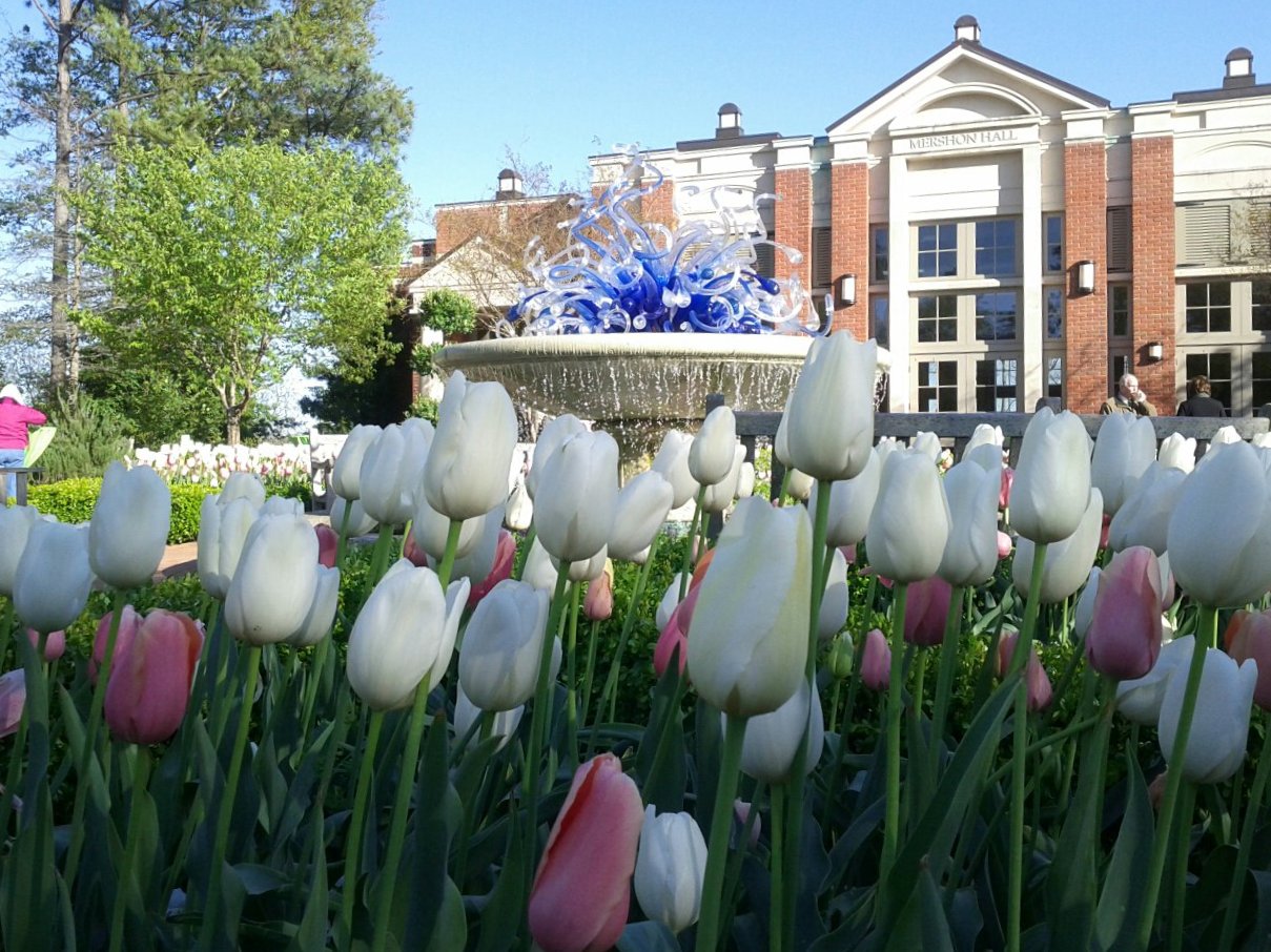 Thoughts Arise: April 2011