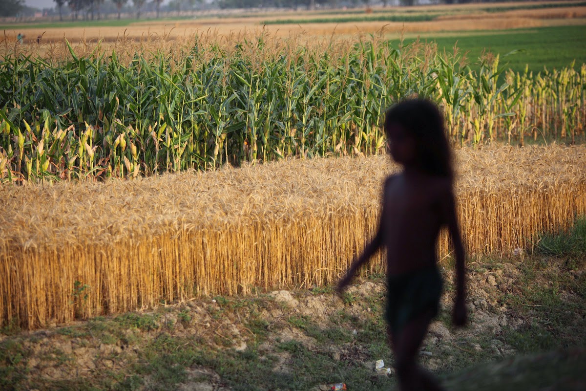 OLTRE IL MURO: ARTE e FOTOGRAFIA: STEPHANIE SINCLAIR | PHOTOGRAPHER