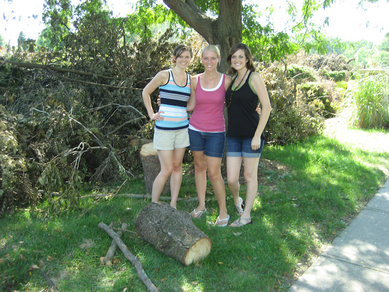 DIY Tree Trunk Cupcake Stand | Alina Sewing + Design Co.