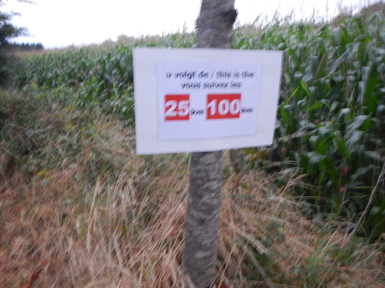 Gwy Op Wandel De Dag Na De 100