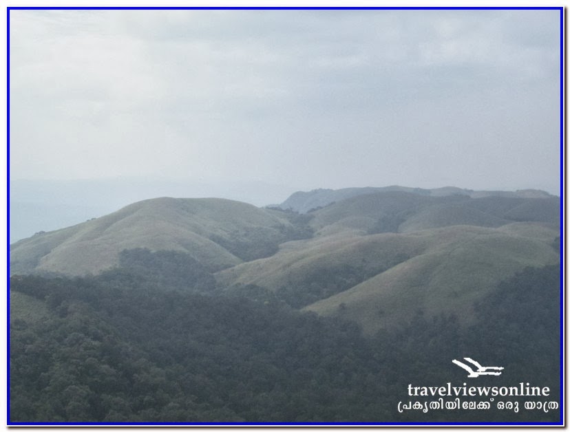 പ്രകൃതിയിലേക്ക് ഒരു യാത്ര (a travel towards NATURE): PULLUMEDU a unique ...