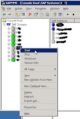 Sap download manager static window in windows 10 - texasholden