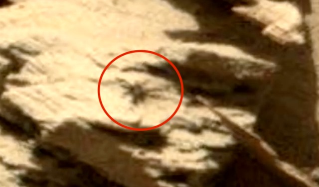 Spiders on Mars?