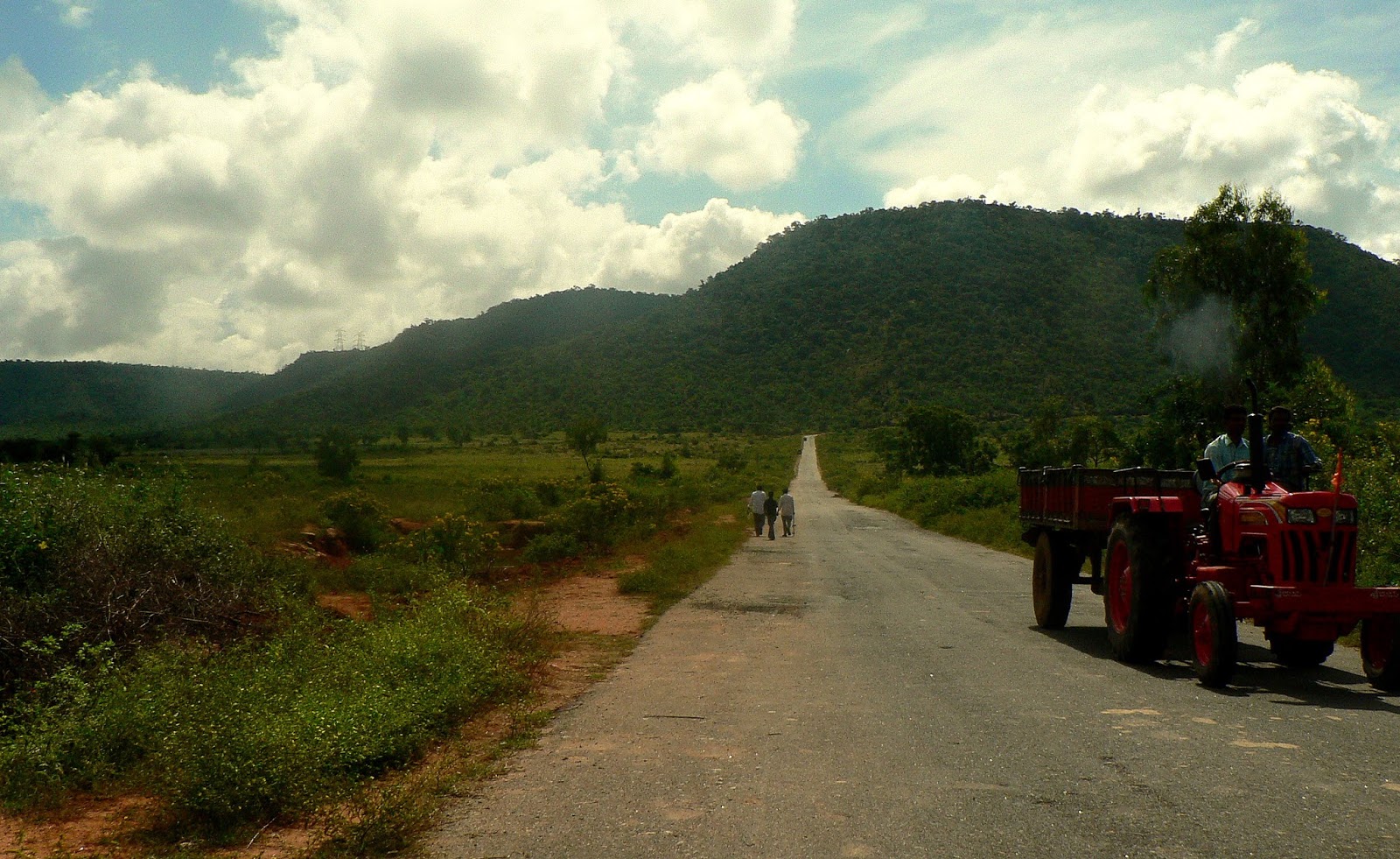 Nallamala Hills: A Dense Forest of Andhra Pradesh