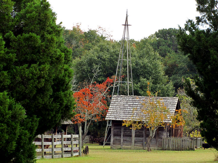 Palms - Americana: Landmark Park, Dothan Alabama