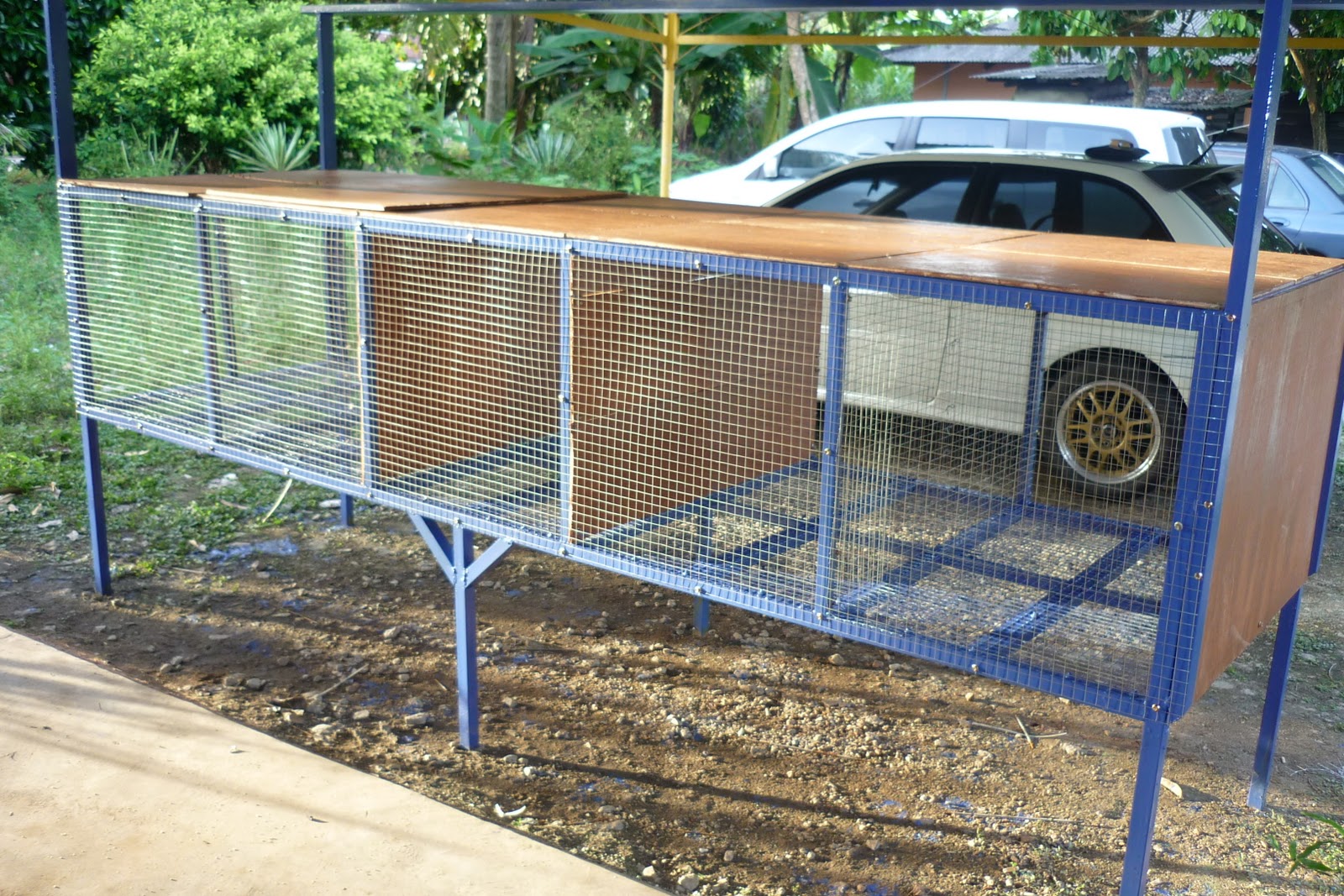 D'Reban: Rabbitry in the making