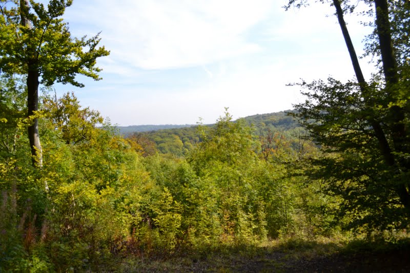 Walks among Flowers: Buckinghamshire: Little Hampden to Cadsden II ...