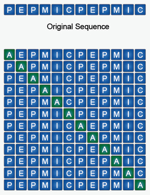 Peptide Synthesis: Peptide Library Synthesis - Alanine Scan
