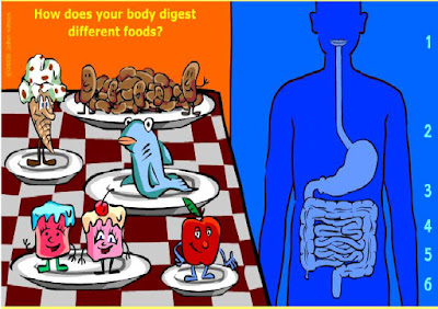 English is Fab!: NATURAL SCIENCE