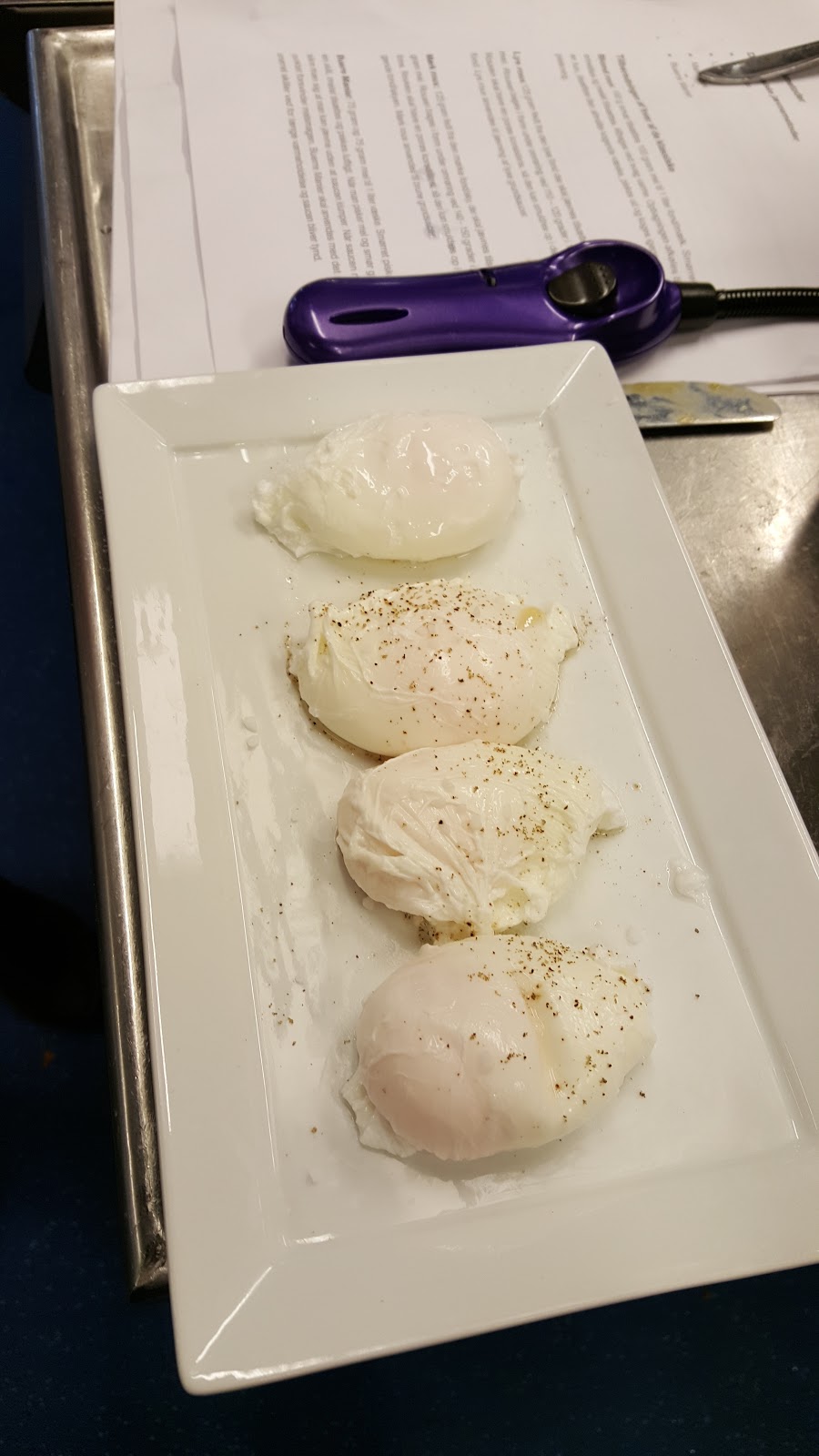 Ana's blog - Aarhus Tech - Gas 3: Sautere, pochere og jævnemetoder 26.01.16