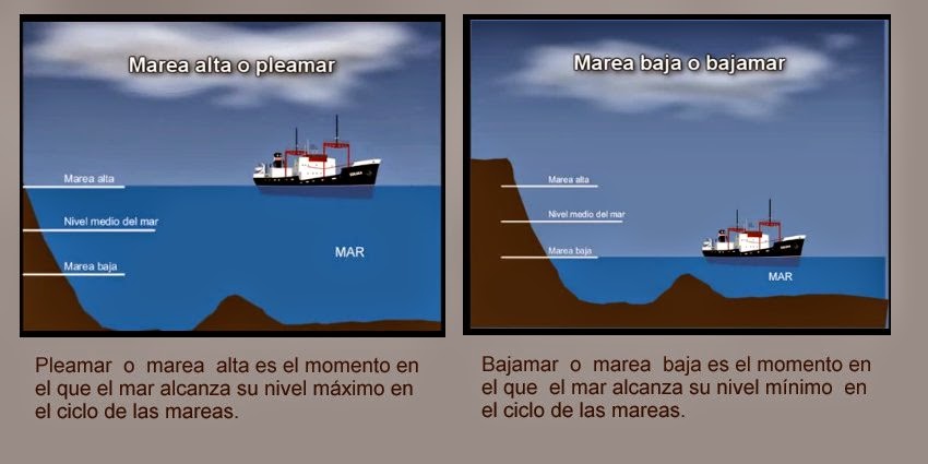 BIOLOGÍA Y GEOLOGÍA 1ESO EXXI - IES MAR. BAQUERO: octubre 2016