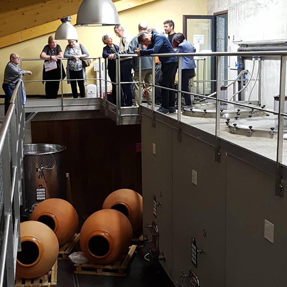 schiller-wine: Vineyard Tour, Cellar Tour and Tasting at Domaine Les ...