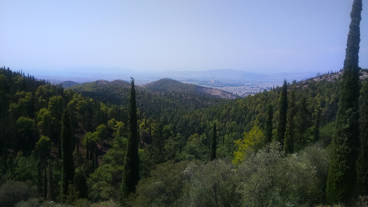 Haris Karagkounidis: Athens-Kesariani forest