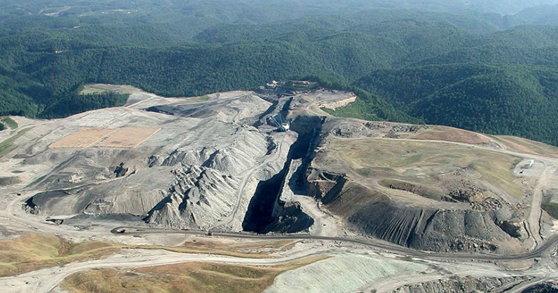 Persistent Vegetative State: We have met the enemy, and he is us.