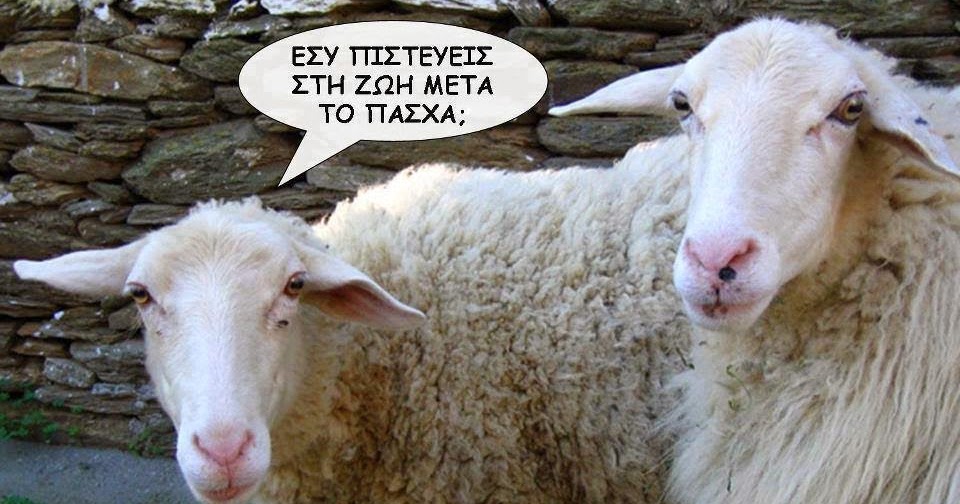 Υπάρχει ζωή μετά το Πάσχα; - Η ΔΙΑΔΡΟΜΗ
