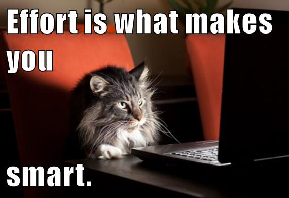Growth Mindset & Feedback Cats: Effort is what makes you smart.