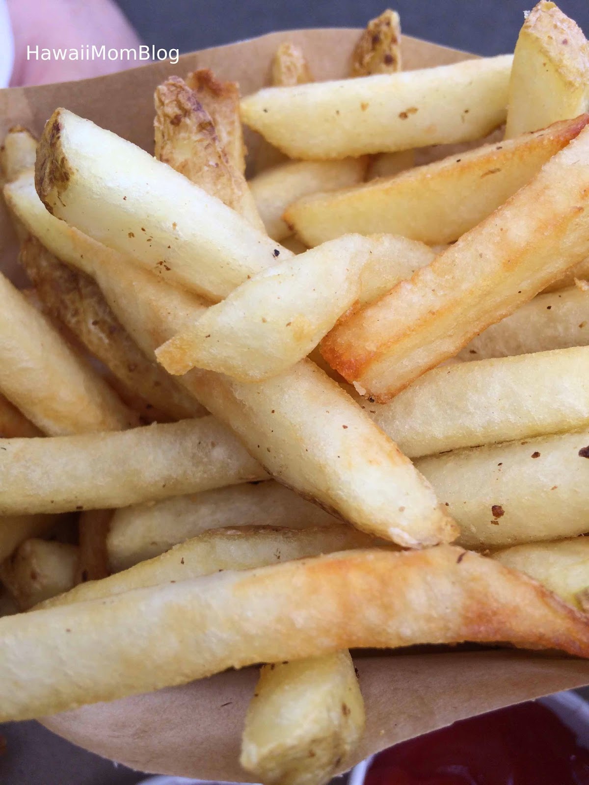 Hawaii Mom Blog: Visit Hawaii: Sea Life Park