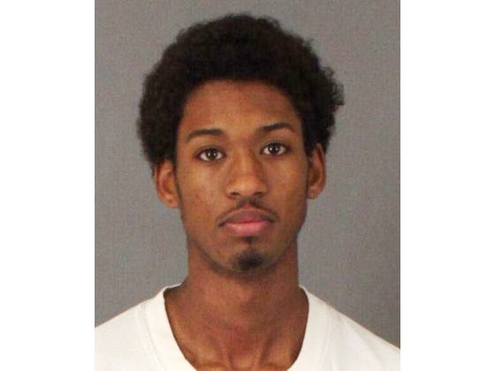 SAMURAI POLICE 1109: WILLIAM GARY SIMPSON JR.