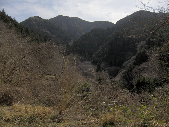 Trail and mountain running in Japan: Mt Kongo Climbing Challenge Trail ...